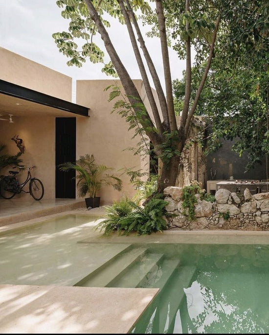 Kit para instalación de Chukum - Rinde 20 m2 - Servicio de Aplicación – M&P